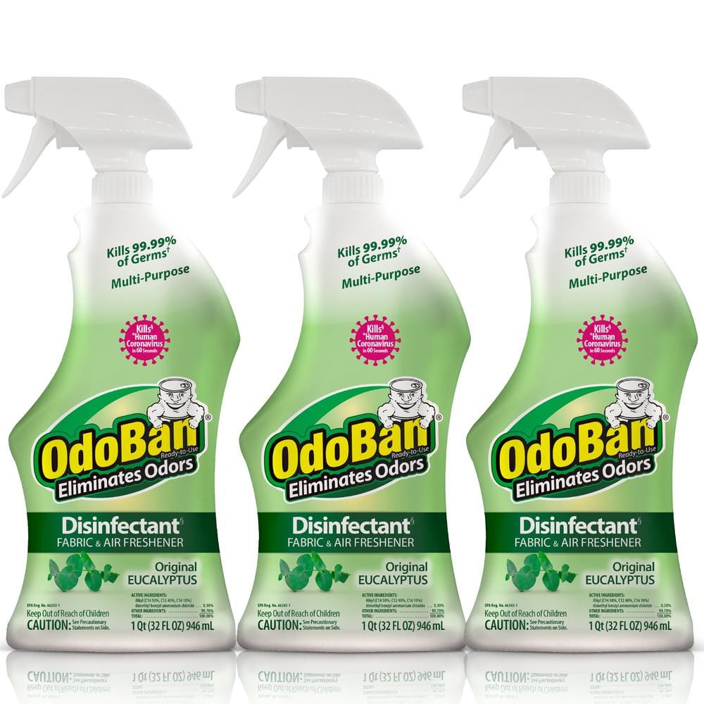 OdoBan 32 oz. Eucalyptus Multi-Purpose Disinfectant Spray, Odor ...