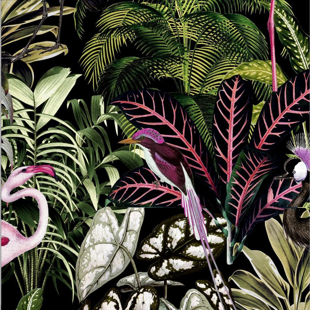 Graham & Brown Midnight Tropic Green Removable Wallpaper Sample ...