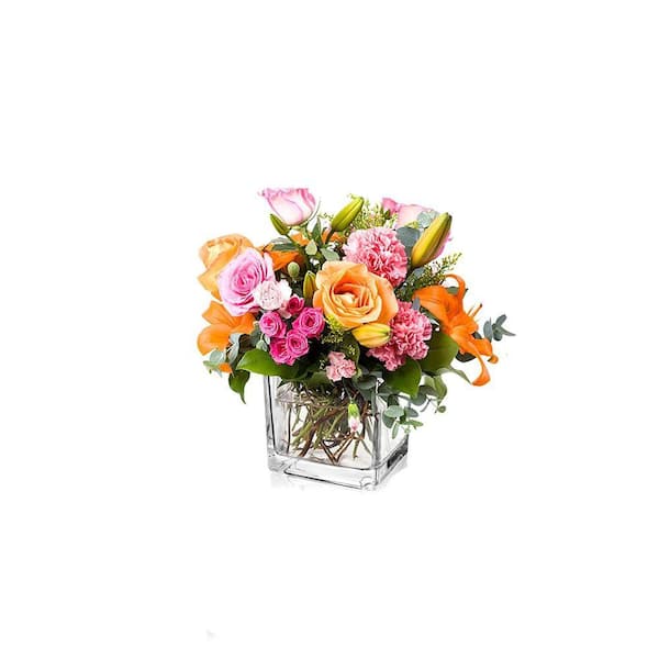 6-Pack Square Glass Vases 5 x 5 x 5 in. Clear Cube Flower Vases for ...