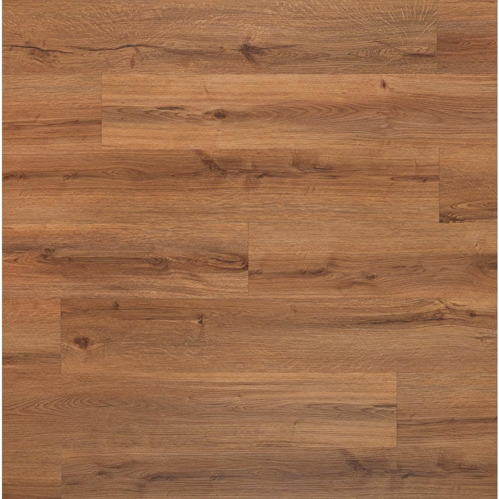 Home Decorators Collection Chestnut Street Oak 12 MIL x 7 in. W x 42 in ...