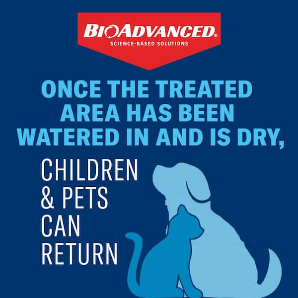 BIOADVANCED 9.6 lbs. Granules 5-In-1 Weed and Feed for Northern Lawns ...