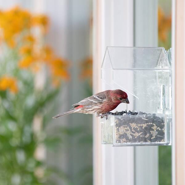 Window Bird Feeder With One Way Mirror Clear Bird Feeders For Window ...