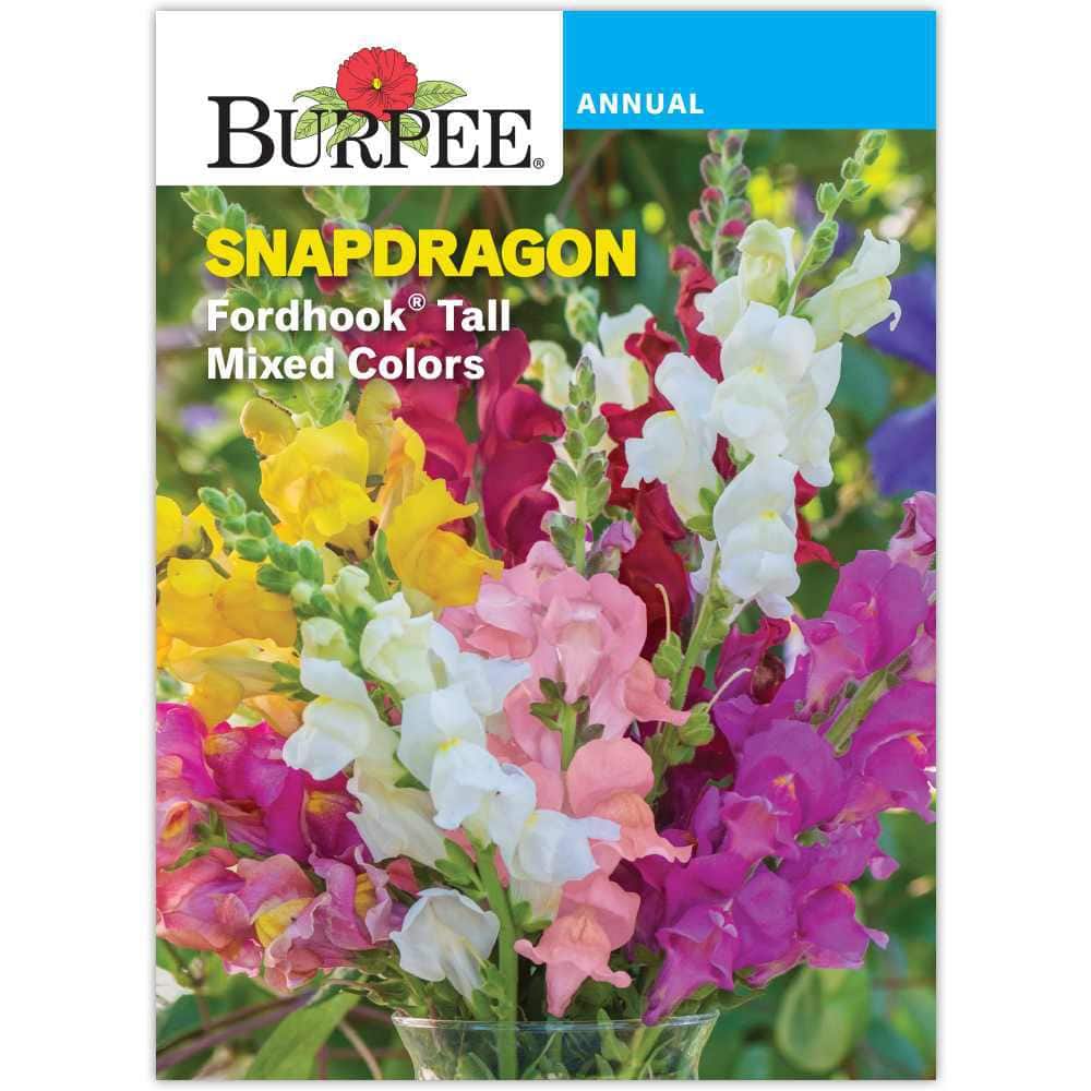 Burpee Snapdragon Fordhook Tall Mixed Colours Flower Seed 41405 - The ...
