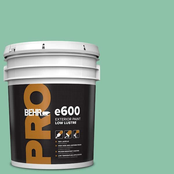 BEHR PRO 5 gal. #HDC-WR14-8 Spearmint Frosting Low Luster Exterior ...