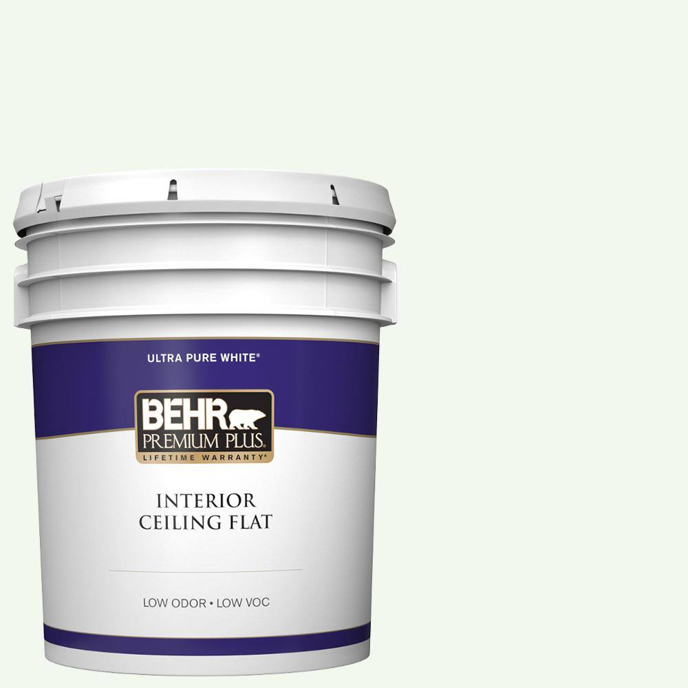 BEHR PREMIUM PLUS 5 gal. #GR-W05 Unwind Ceiling Flat Interior Paint ...