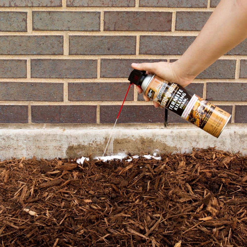 Buy Terminate 16 oz. Termite Killing Foam Online at Lowest Price in ...