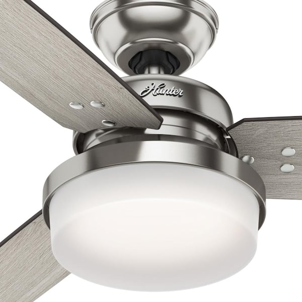 Hunter 60 Inch Brushed Nickel Ceiling Fan | Shelly Lighting