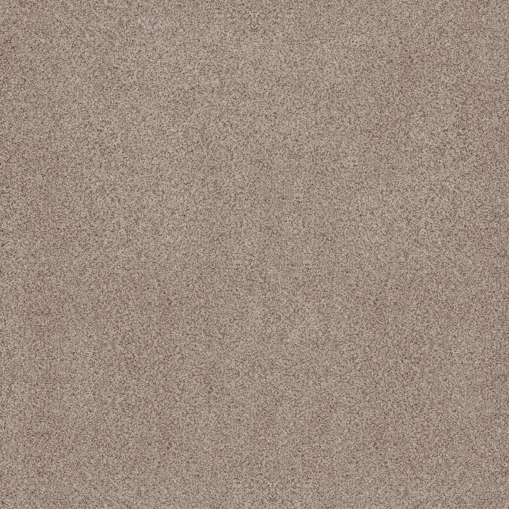 Lifeproof 8 in. x 8 in. Texture Carpet Sample - Sand Dunes II - Color ...