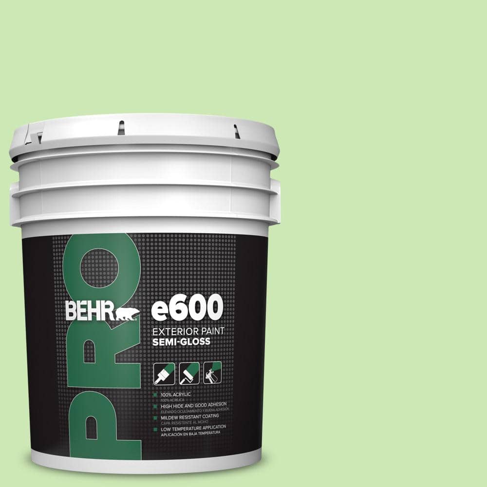 BEHR PRO 5 gal. #430A-3 Fairway Mist Semi-Gloss Exterior Paint PR67005 ...