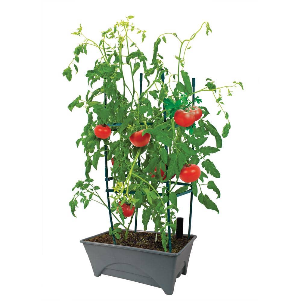 CITY PICKERS 12 in. x 20 in. Slate Resin Indoor/Outdoor Start Pickin ...