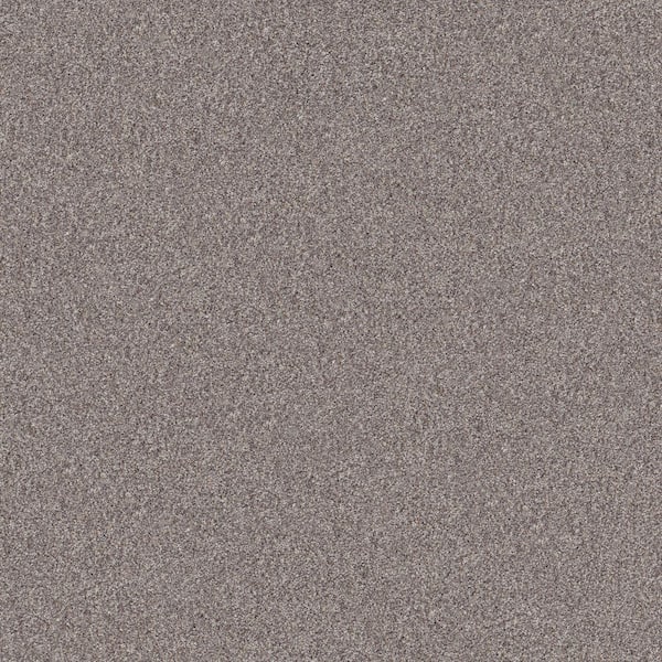 Home Decorators Collection 8 in. x 8 in. Texture Carpet Sample - Cherry ...
