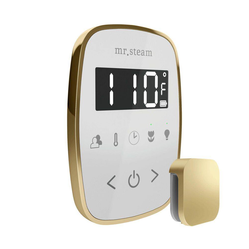 Mr. Steam TempoFlex Steam Shower Control and Steamhead in White Satin Brass TFWHSB - The Home Depot