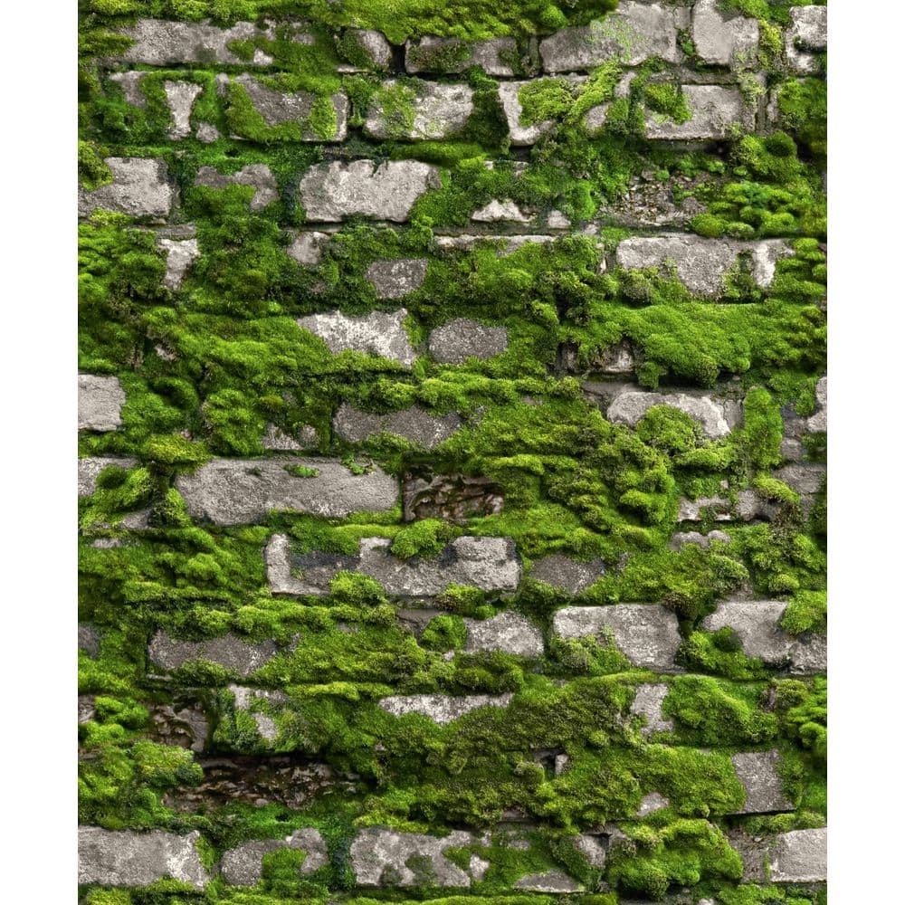 Bricks and More Collection Mossy Stone Wall Matte Finish Vinyl on Non ...