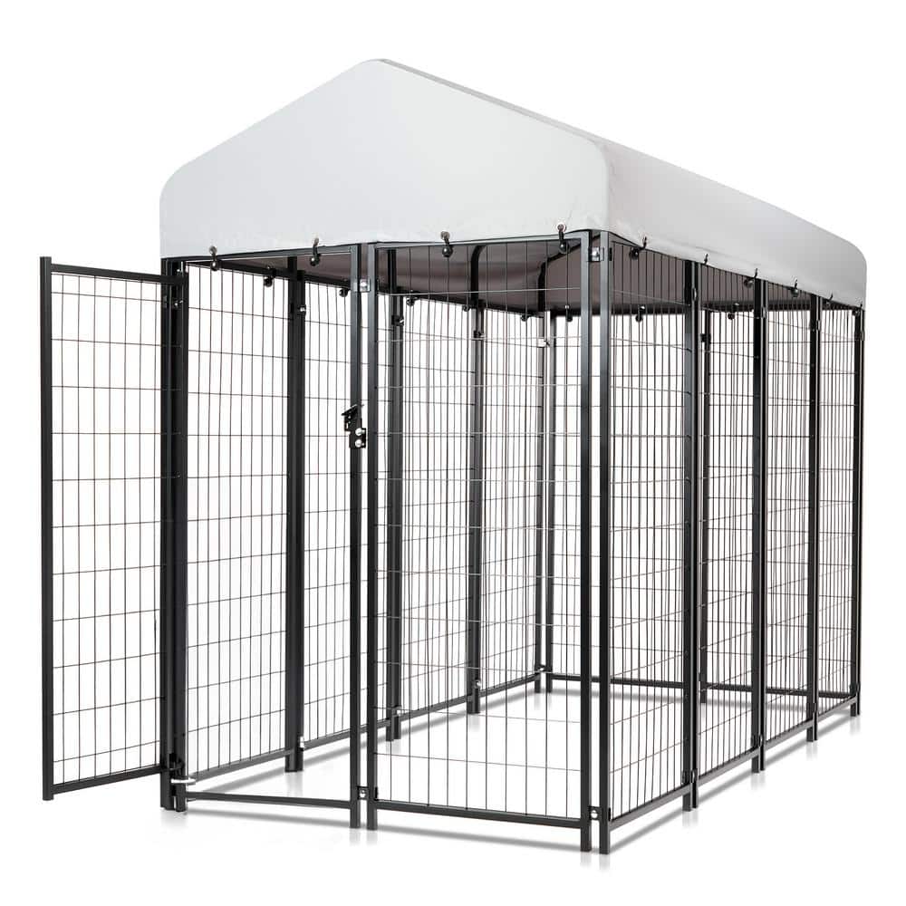Karl home 8 ft. x 4 ft. x 6 ft. Outdoor Dog Kennel Dog Fence Dog Kit ...