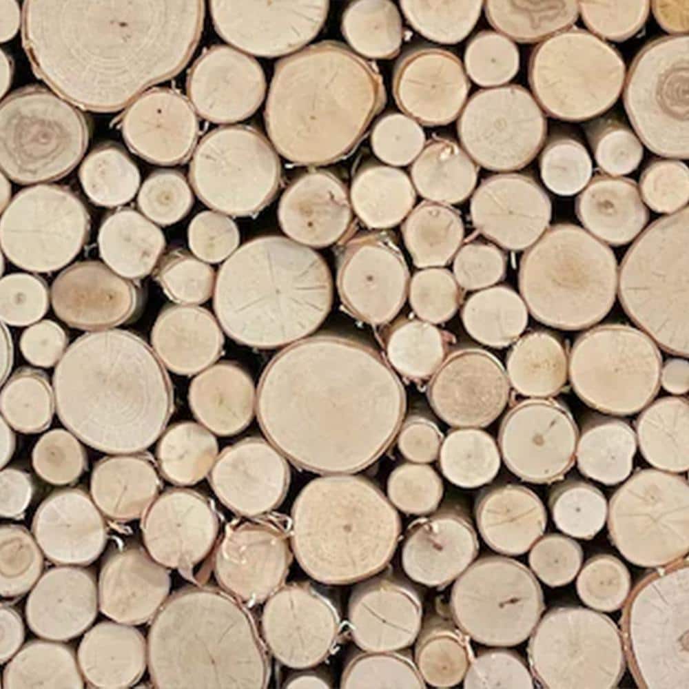 WILSON (60070) Decorative White Birch Logs Fill A Space Logs-7-9 in. L ...