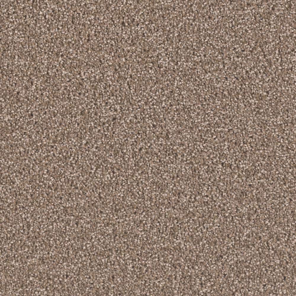 Home Decorators Collection 8 in. x 8 in. Texture Carpet Sample ...
