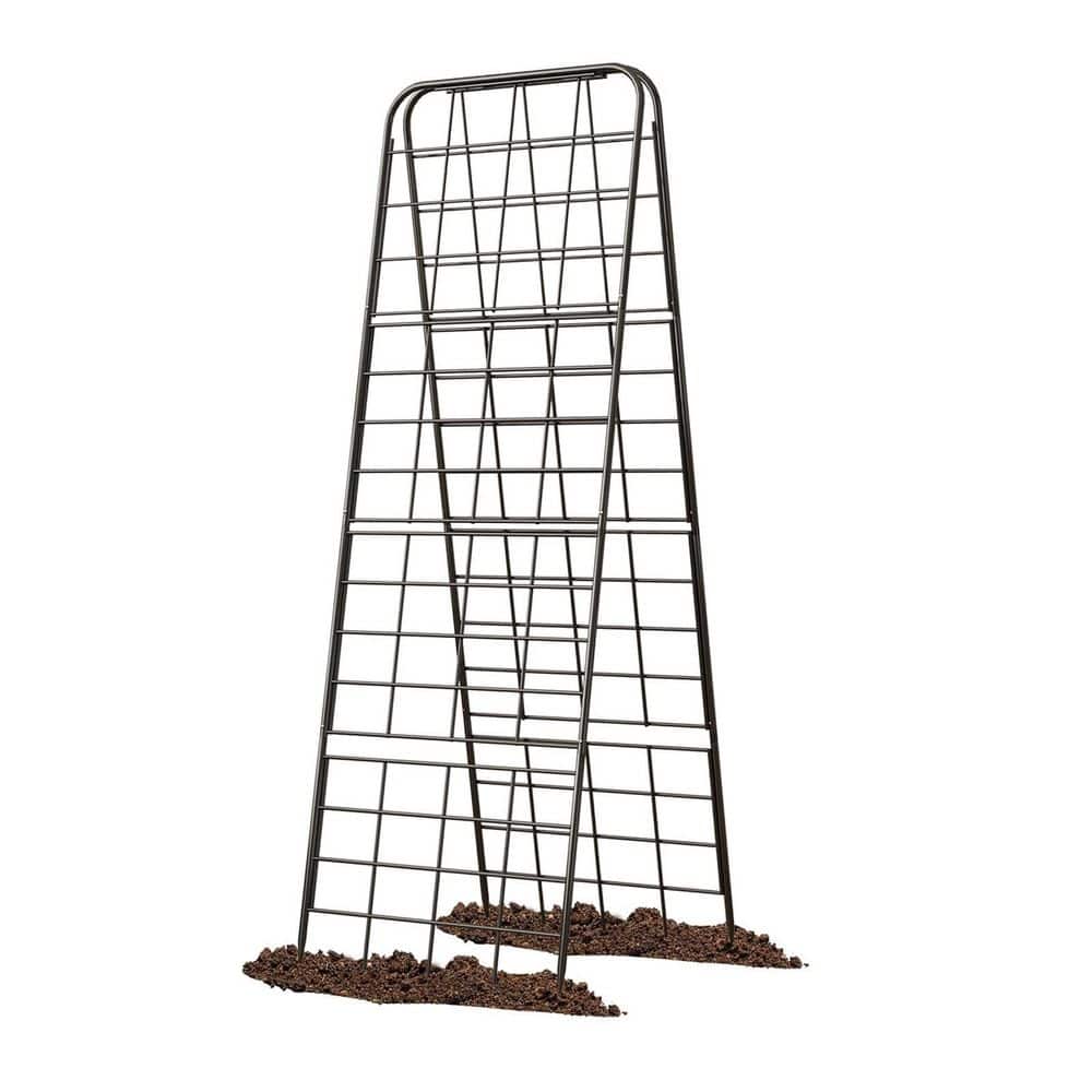 Heavy Duty 50 in. Adjustable A-Frame Metal Trellis for Climbing Plants ...