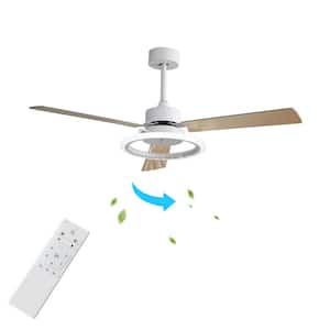 Ceiling Fan Remote Receiver Dl 1167rys 02 | Shelly Lighting