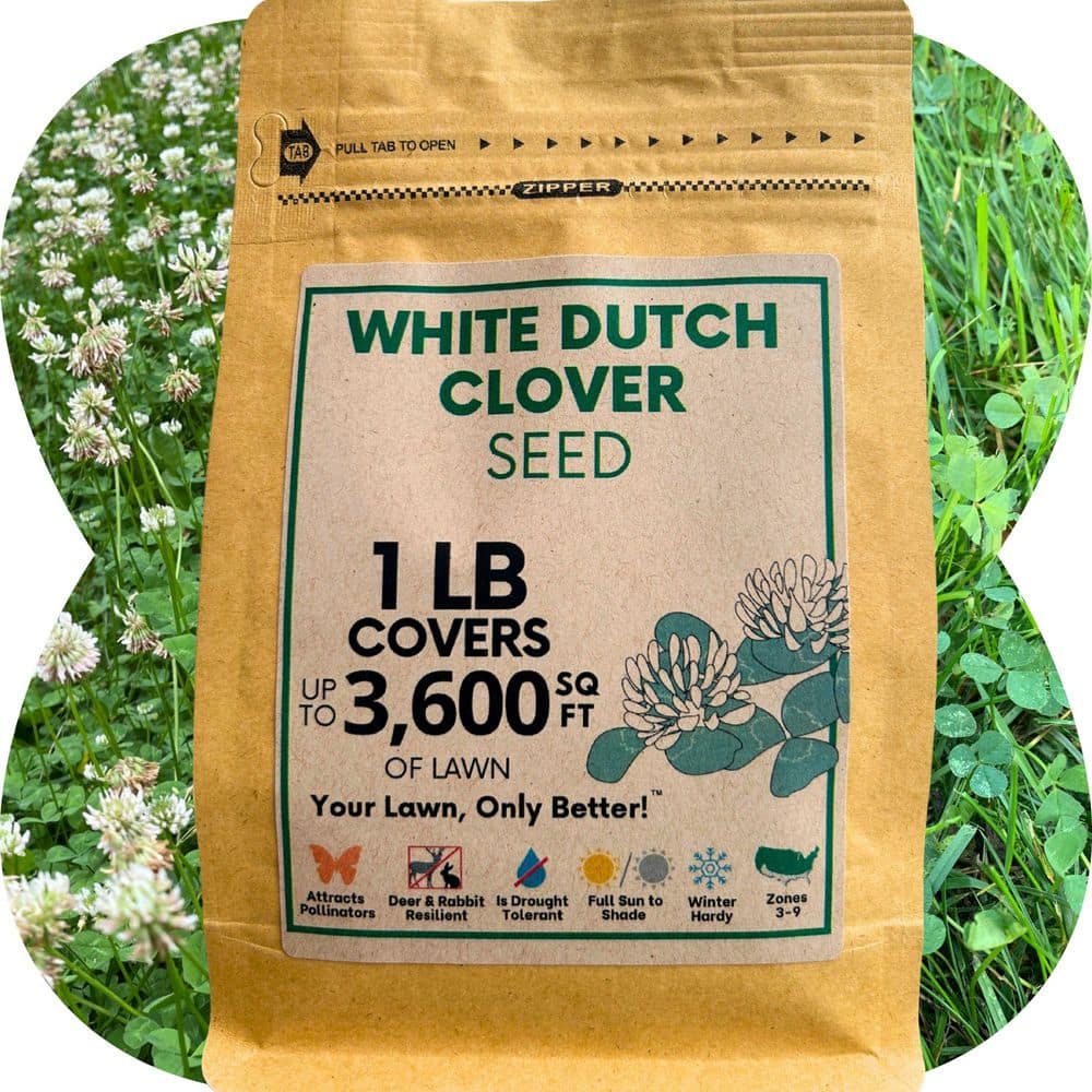Flawn Seed Kits 1LB White Dutch Clover, Organic Coated, Flowering Lawn ...