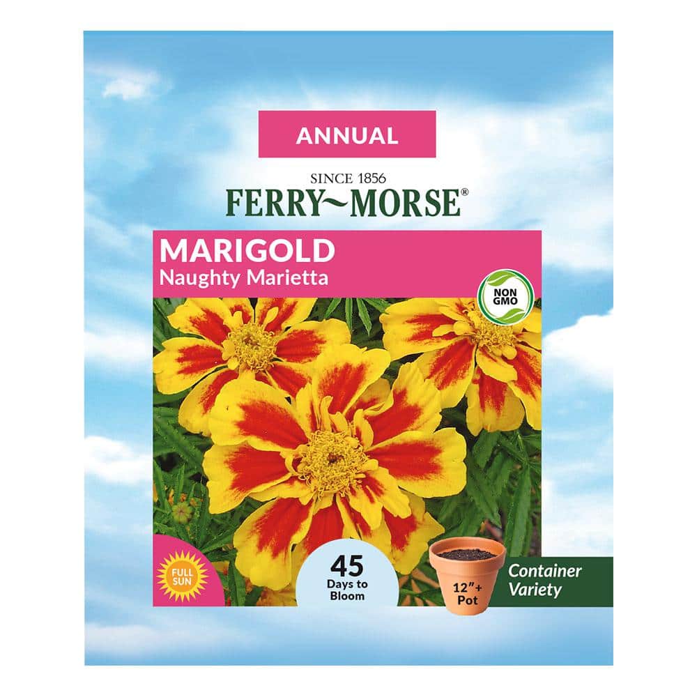 Ferry-Morse Marigold Naughty Marietta Flower Seed 9688 - The Home Depot