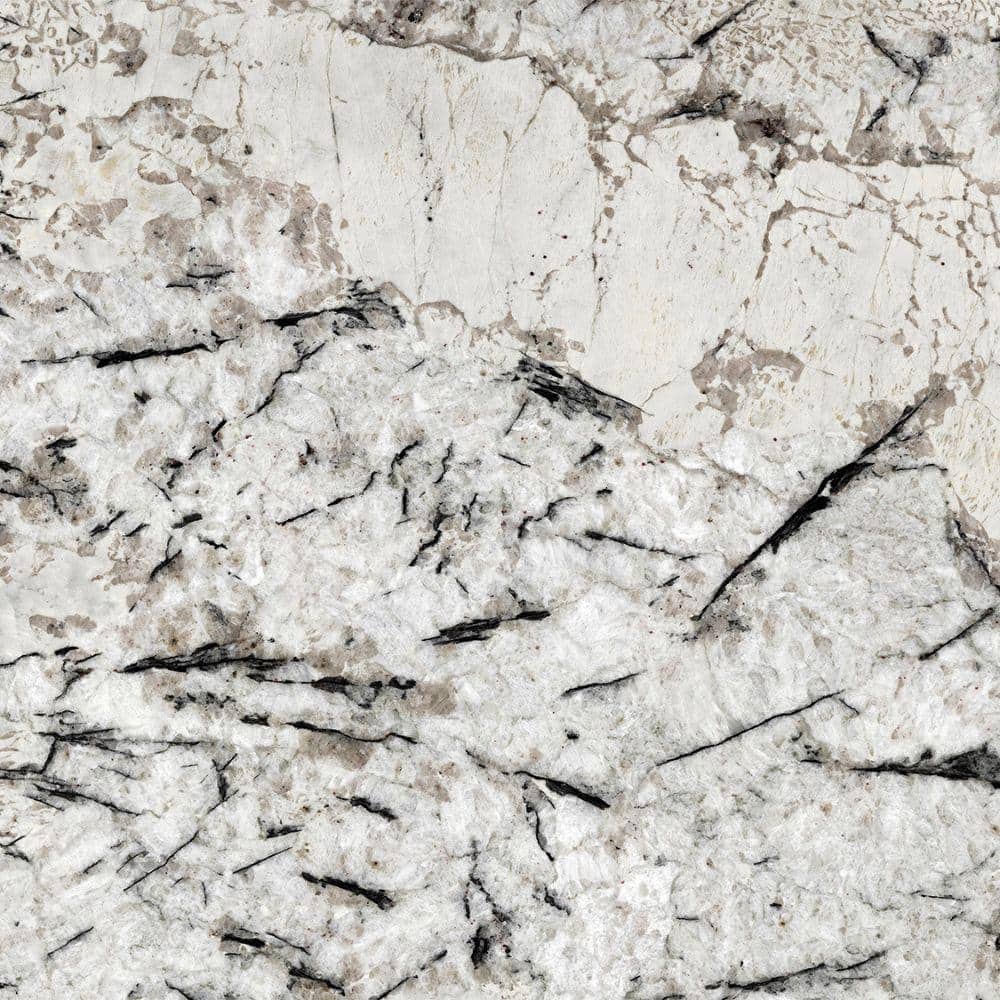 STONEMARK Granite Countertop Sample in Delicatus White COS-G0080 - The ...