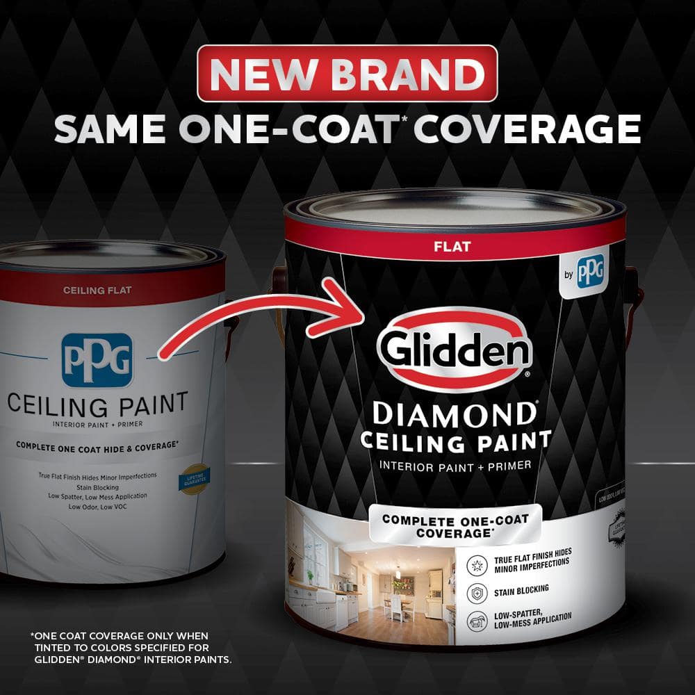 Glidden Diamond 1 gal. Silver Feather PPG1002-1 Flat Interior One-Coat ...