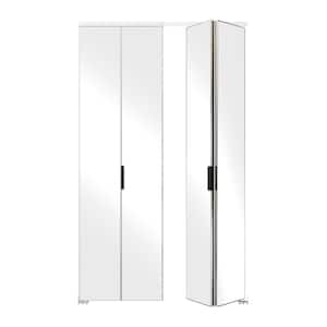 BH BARNER HOME 24 in. x 80 in. Full Lite Mirrored Glass, Silver, Hollow ...