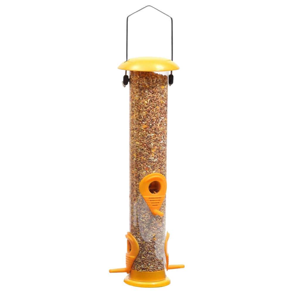 Ashman Online Ashman Bird Feeder Yellow Color (1-Pack), Metal Top and ...