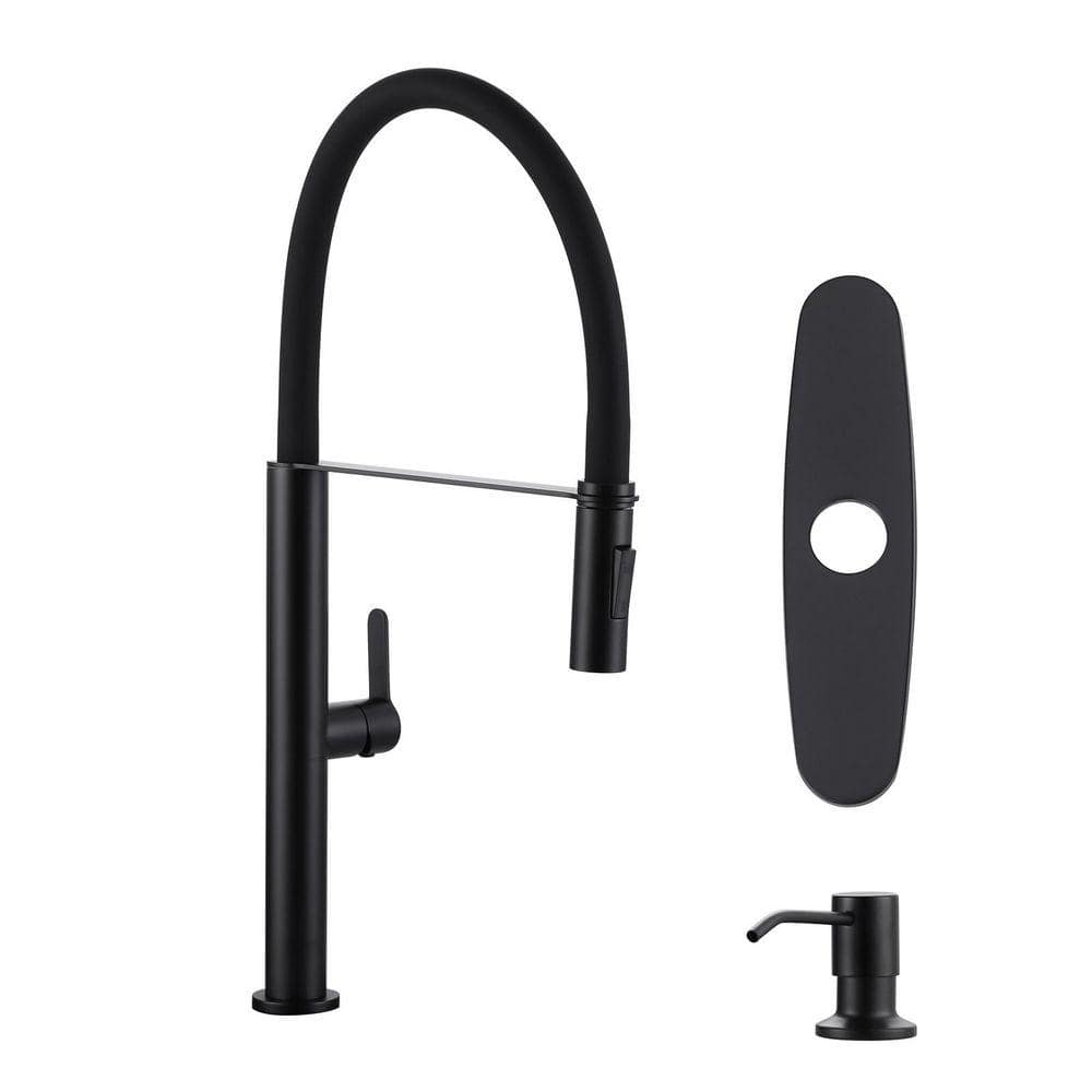 ALEASHA Matte Black 21.2 in. H 360° swivel Pull Down Sprayer Kitchen ...