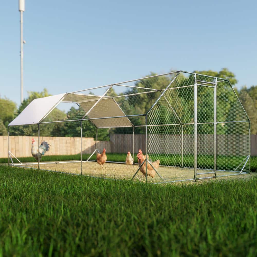 Thanaddo 10 ft. x 20 ft. Large Metal Walk in Chicken Coop Galvanized ...