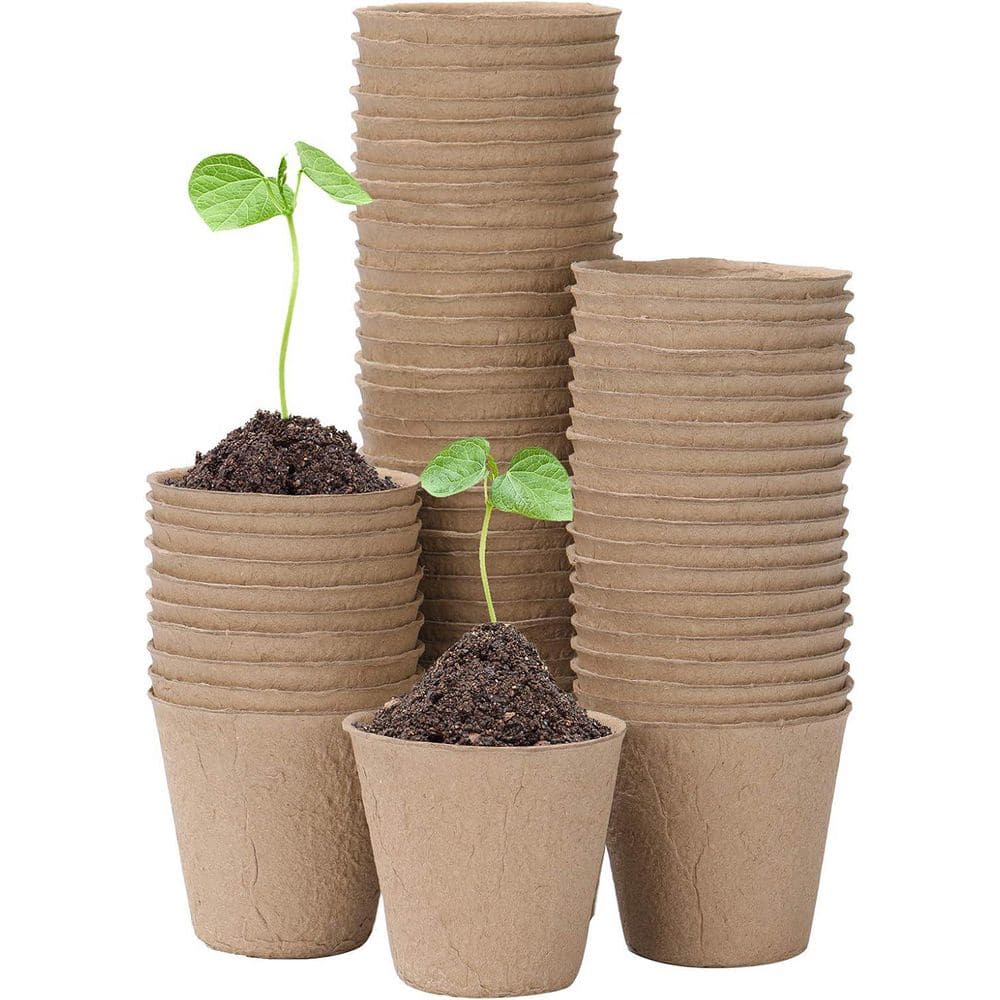 Phewnyzo Peat Planting Pots Starter Kit 3 Round Paper Pulp Germination ...