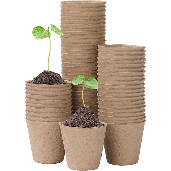 Phewnyzo Peat Planting Pots Starter Kit 3 Round Paper Pulp Germination ...