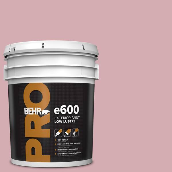 BEHR PRO 5 gal. #S130-3 Ballet Rose Low Luster Exterior Paint PR62005 ...