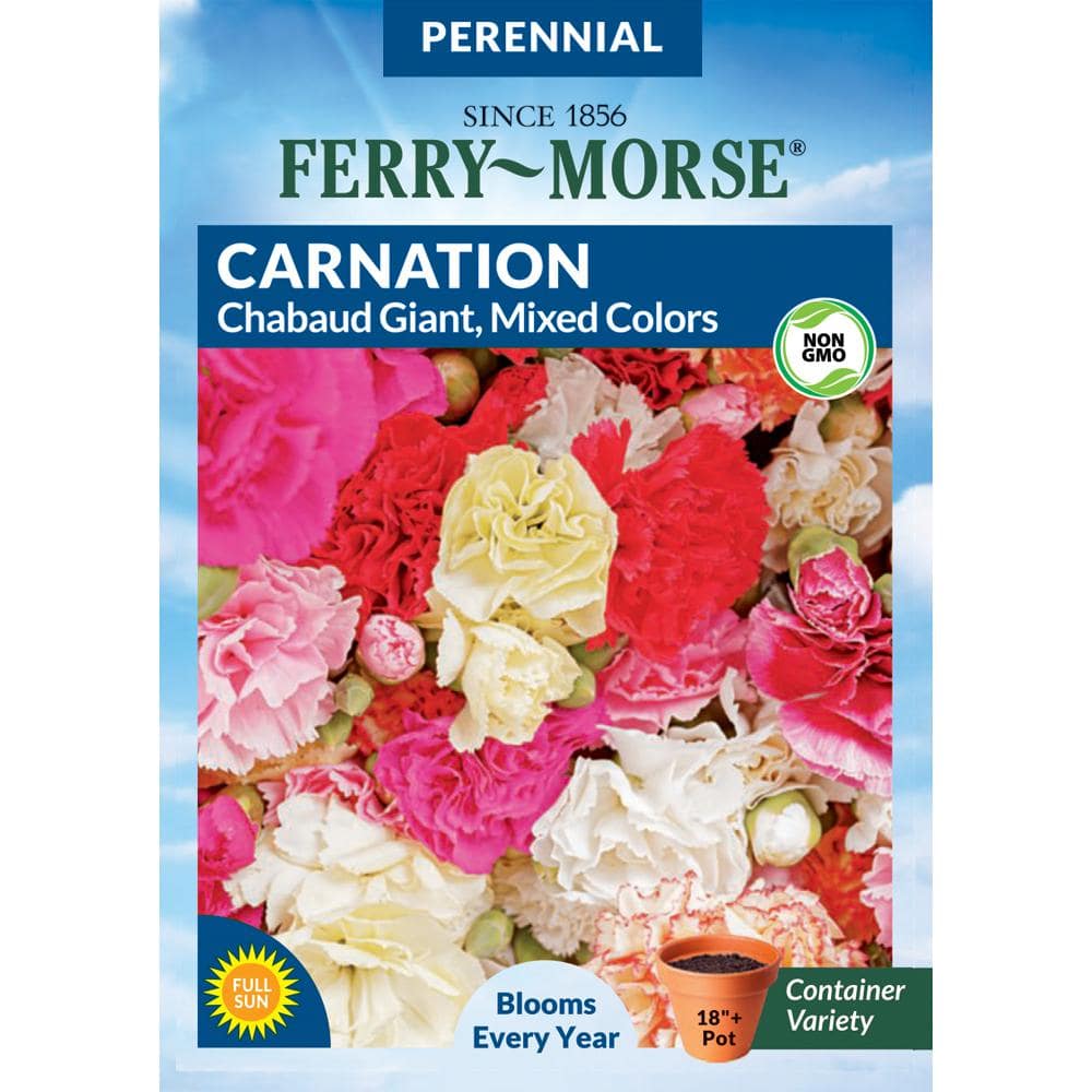 Ferry-Morse Carnation Chabaud Giant Mixed Colors Flower Seed 2256 - The ...