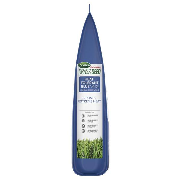 Fescue Grass Seeds For Lawn GreenView Pure Grass Seed Turf Type Tall ...