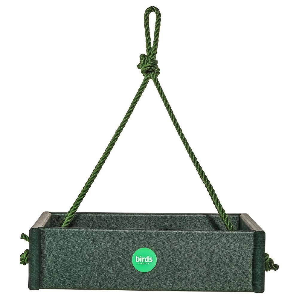 BIRDS choice Hanging Tray Bird Feeder Color Pop Collection in Evergreen ...