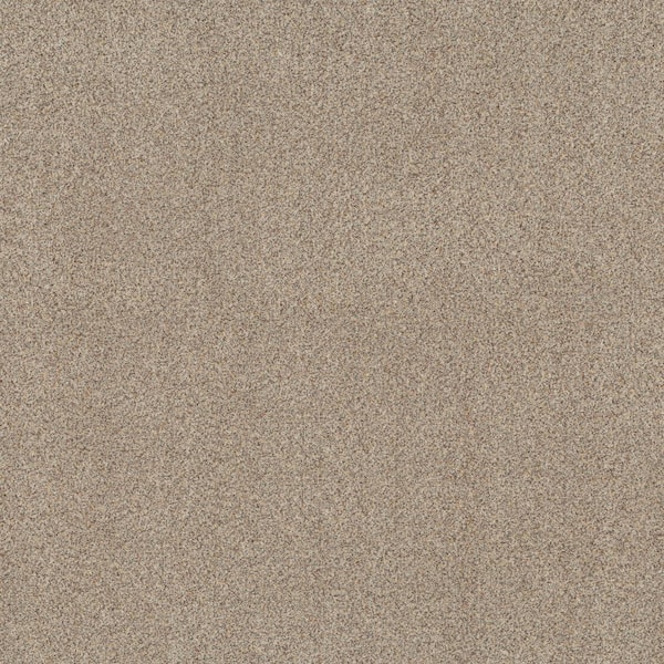 Lifeproof 8 in. x 8 in. Texture Carpet Sample - Sea Pines -Color Nutria ...