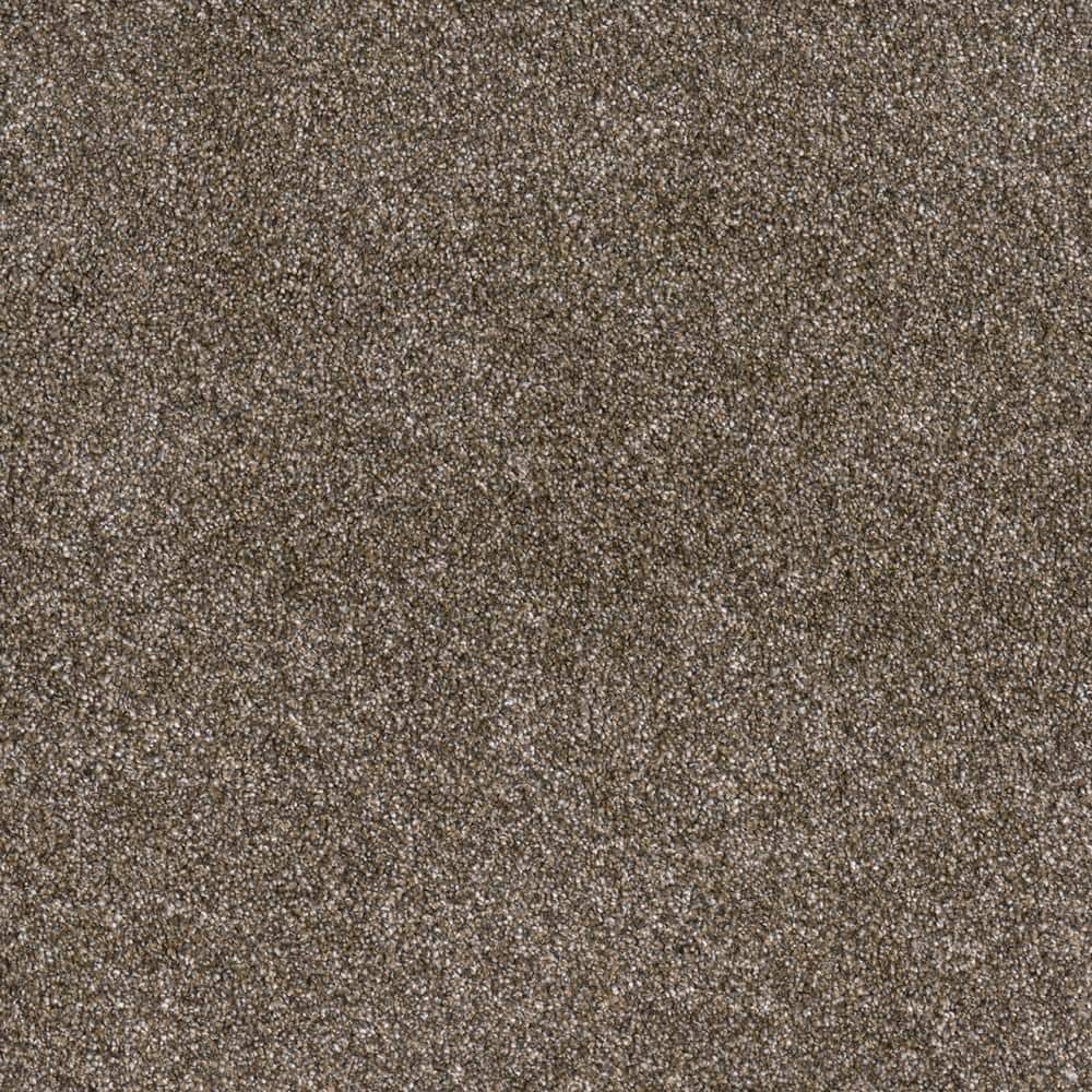 Lifeproof 8 in. x 8 in. Texture Carpet Sample - Hazelton III - Color ...
