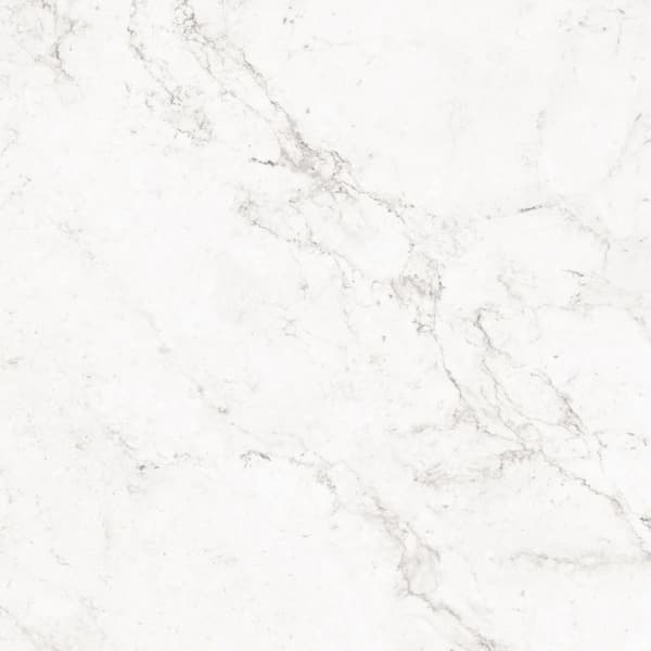 Proteco Take Home Sample-Ragosa White 12 MIL x 12 in. W x 24 in. L ...