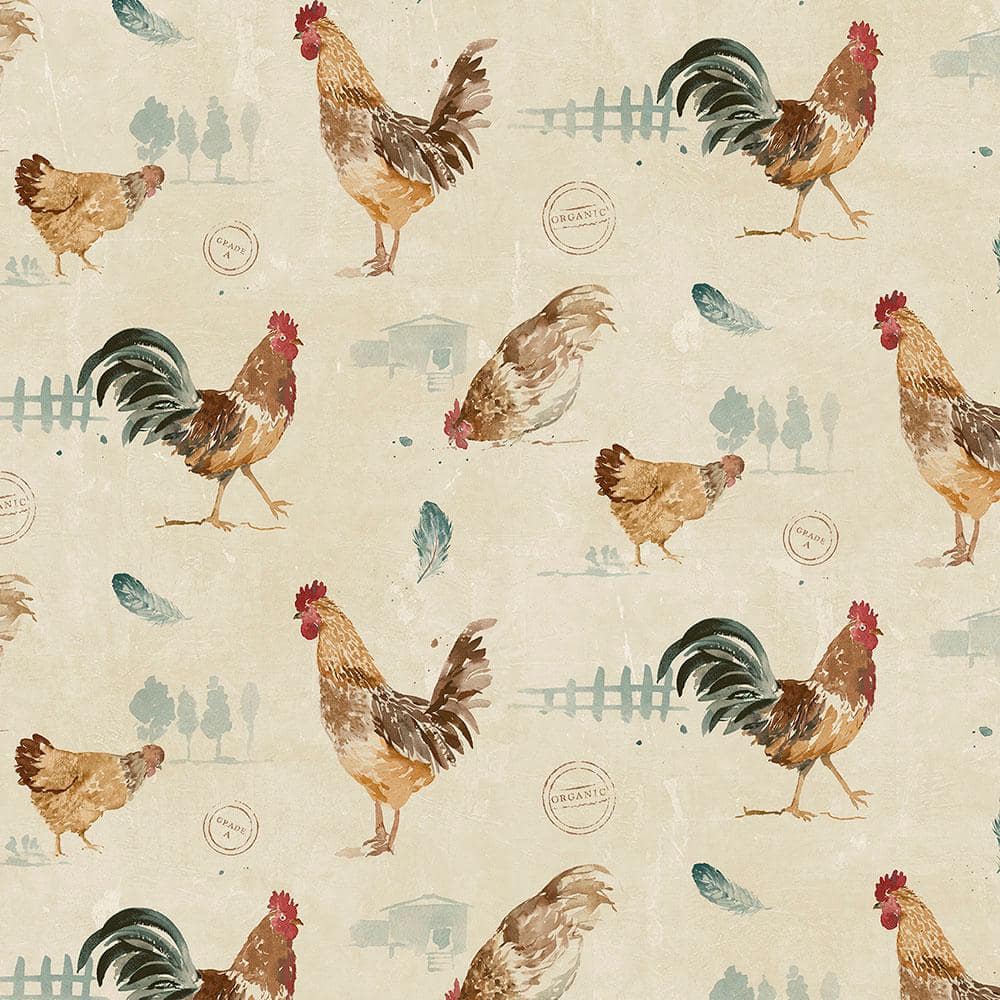 Norwall Fresh Chicken Vinyl Strippable Roll Wallpaper (Covers 56 sq. ft ...
