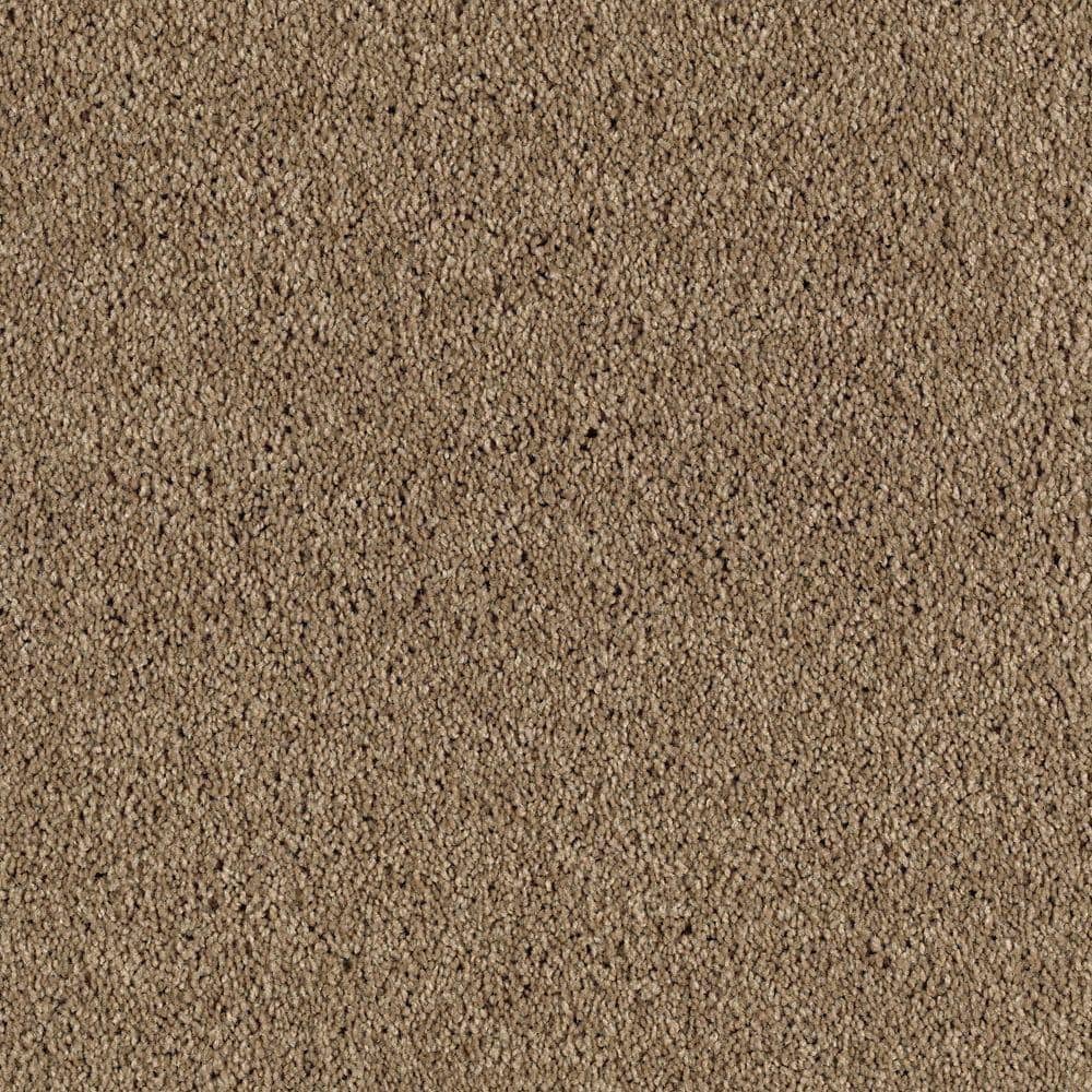 Lifeproof 8 in. x 8 in. Texture Carpet Sample - Ambrosina I -Color Worn ...