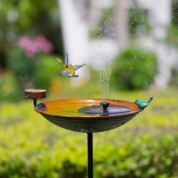 Shallow Bird Bath For Hummingbirds