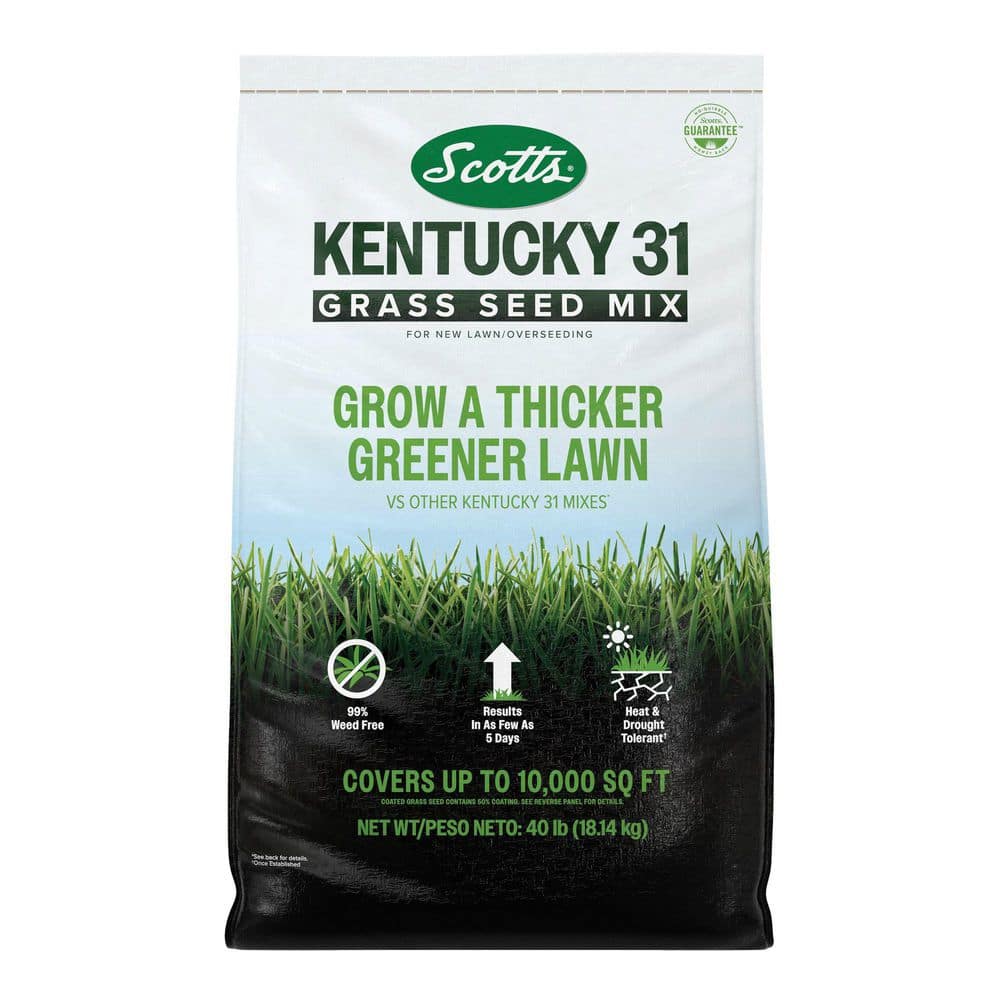Scotts Kentucky 31 Grass Seed Mix 40 lbs. For New Lawns or Overseeding ...