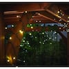 Hampton Bay 100-Light 19 ft. Outdoor/Indoor Solar Mini Bulb LED Willow ...