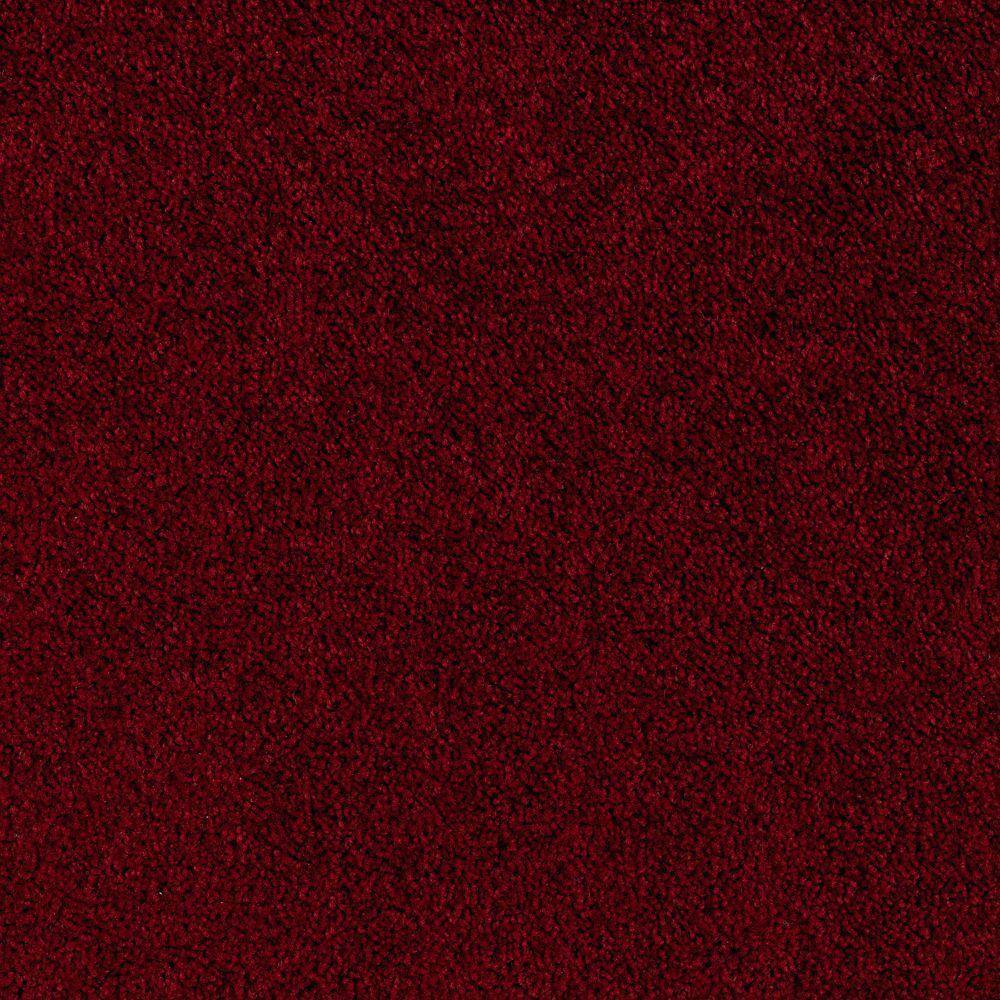 TrafficMaster Thoroughbred - Color Winners Roses Texture 12 ft. Carpet ...