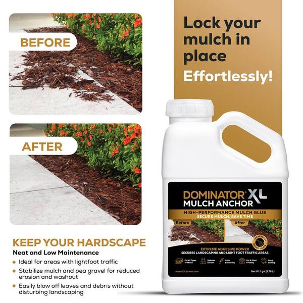 Rock Glue DCP Setseal Mulch Glue 1 Gallon - Gravel & Rock Stabilizer ...