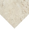 Buy Travisano Trevi 12 in. x 12 in. Porcelain Floor and Wall Tile (14. ...