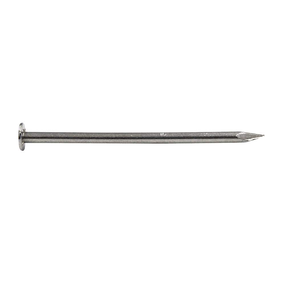 OOK #16 x 1 in. Bright Steel Wire Nails (183-Pack) 52618 - The Home Depot