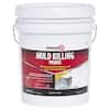 Zinsser 5 gal. Mold Killing Interior/Exterior Primer 276088 - The Home ...