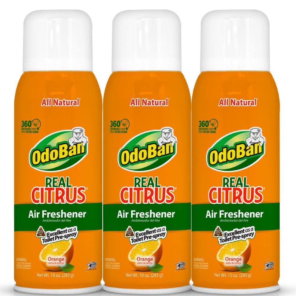 OdoBan 10 oz. Orange Real Citrus Air Freshener Spray, Natural Air ...